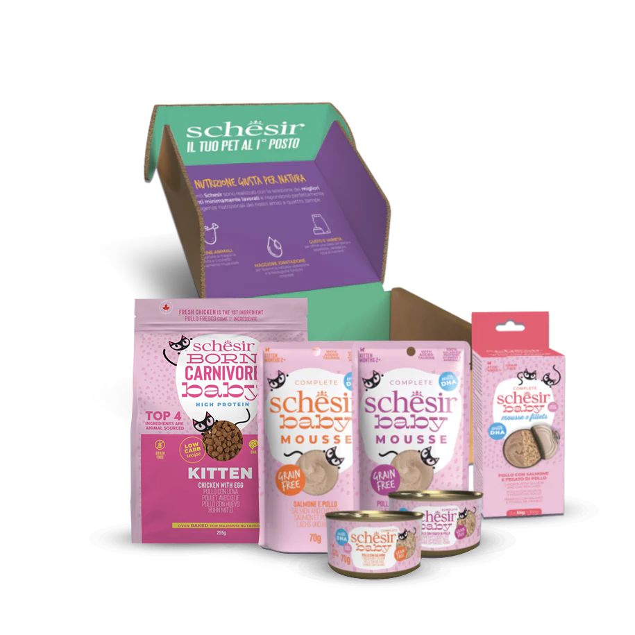 Baby Box – Schesir