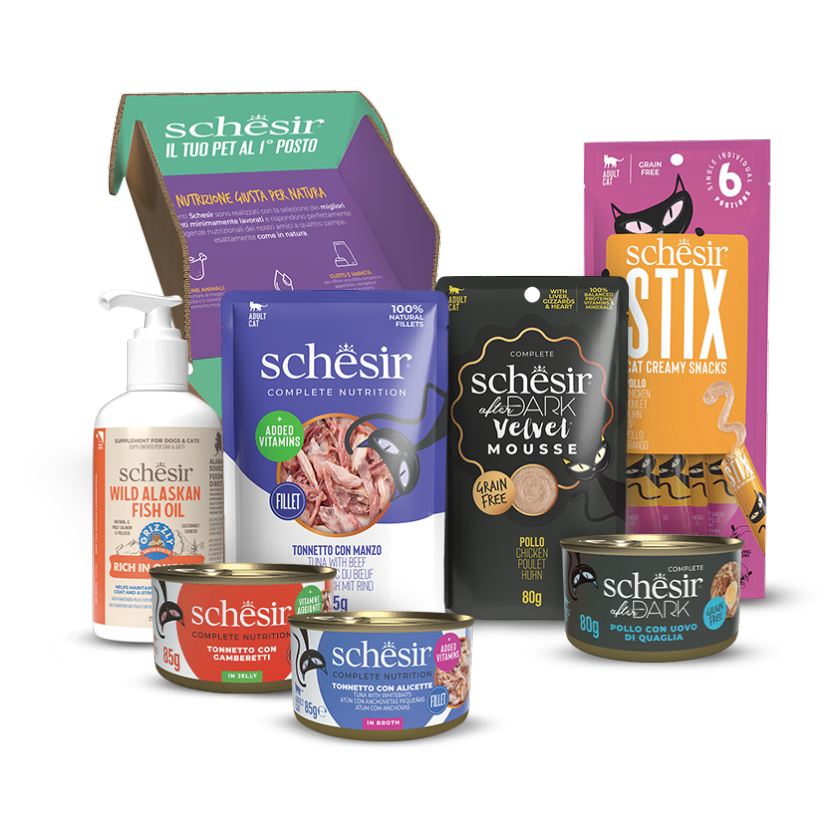 Complete Wet Box – Schesir